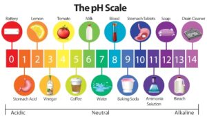 Aquarium pH, GH & KH: An Easy Water Chemistry Guide - KaveMan Aquatics