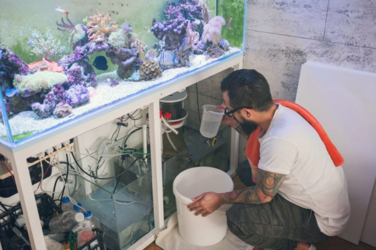 Aquarium Checklist for Beginners: 10+ Essential Items