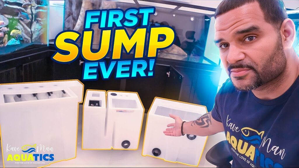 The Seamless Sump: A Beginner's Guide to Aquarium Sumps