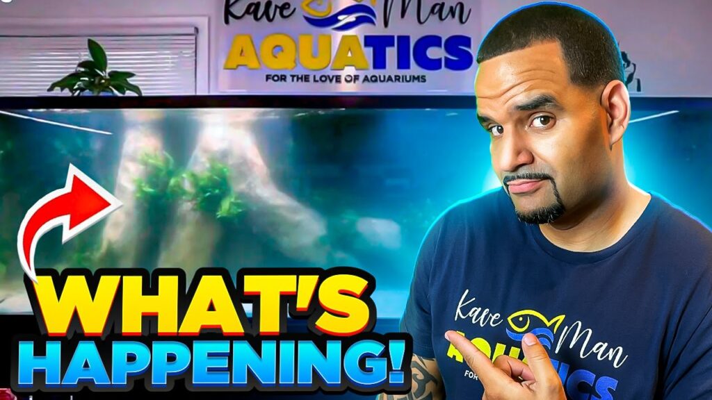 How to Clean a Fish Tank: A Step-by-Step Guide - KaveMan Aquatics