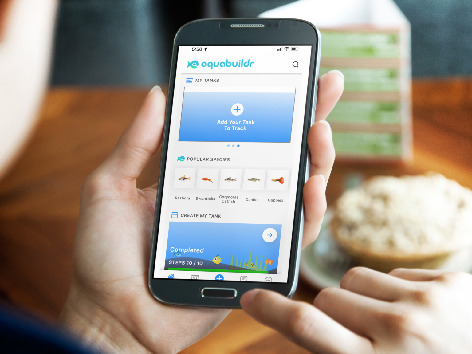 Sunken Belly in Fish (Symptoms, Causes, and Treatment) - KaveMan Aquatics