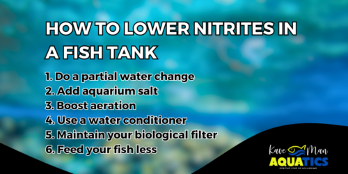 How to Lower Nitrites in a Fish Tank: 6 Tips for a Safe Environment ...