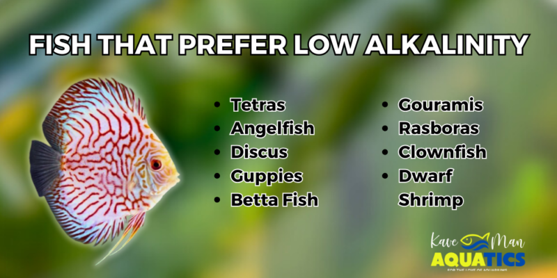 How to Lower Alkalinity in a Fish Tank: Simple Methods for a Balanced ...