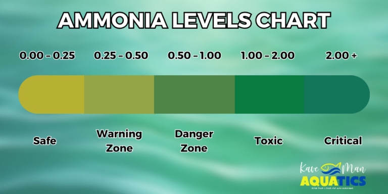 How to Reduce Ammonia in a Fish Tank - KaveMan Aquatics