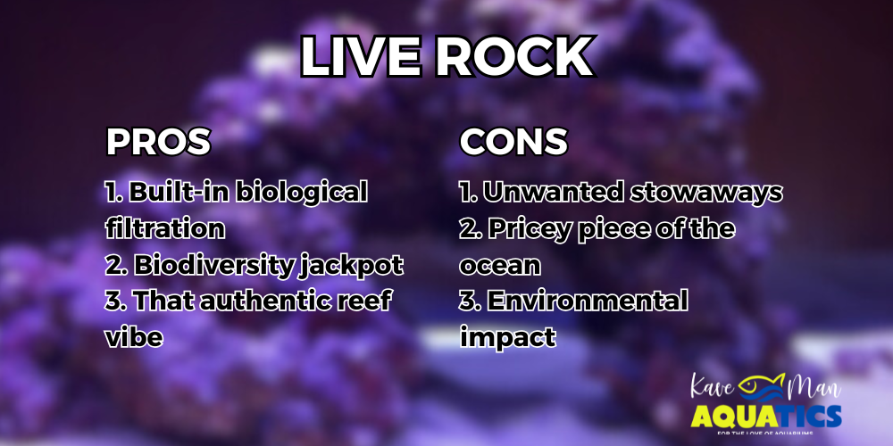 Live Rock vs Dry Rock: Which Is Better for a Saltwater Tank? - KaveMan ...
