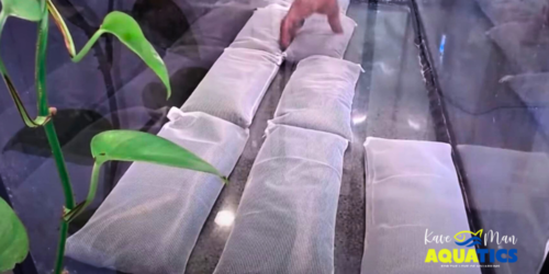 Creating a Beautiful Planted Aquarium Setup From Scratch - KaveMan Aquatics